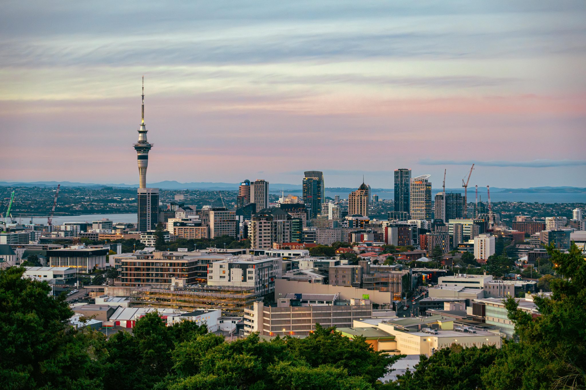 RBNZ Releases Annual Report 2024