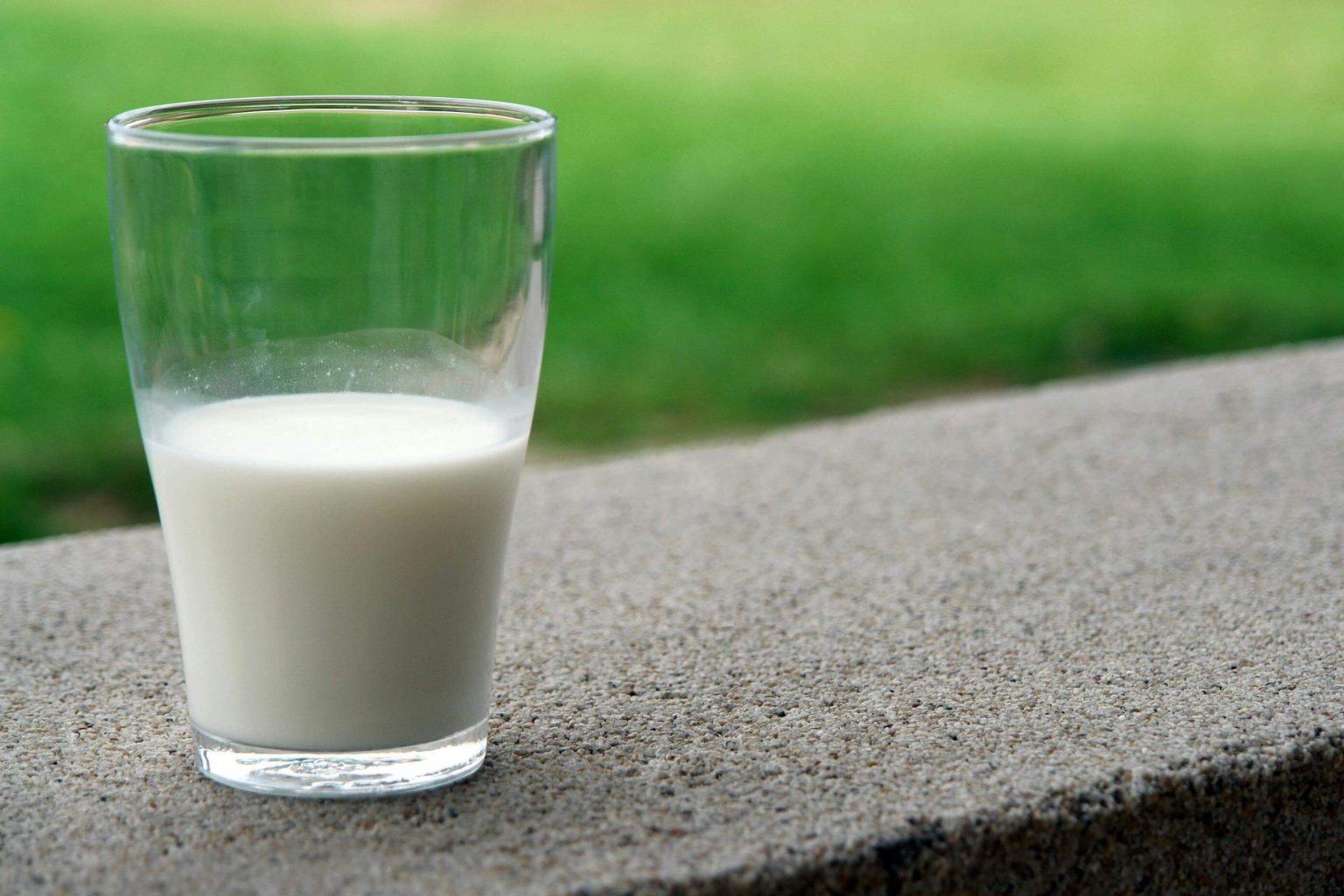 Synlait Announces Major Financial Recovery Amid Challenges