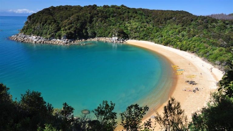 New Zealand sees rise in visitor arrivals, report shows